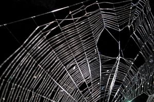 Under the Rule of LAWS: Artificial Intelligence in Warfare